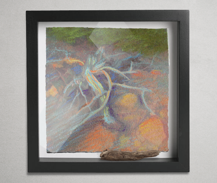 Tree Roots Shadow Box Display, Black, 10-Inch (25.4) Square | M E C R E ...
